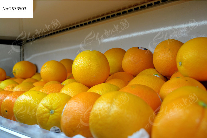 一排诱人的橙子高清图片下载_红动中国