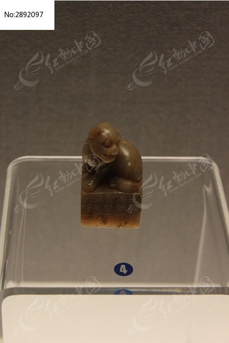 狮子小玉章高清图片下载_红动中国