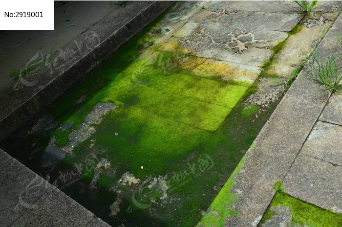 长满青苔集水槽特写高清图片下载_红动中国