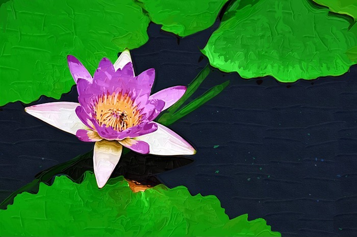 紫色睡莲家居装饰油画高清图片下载_红动中国