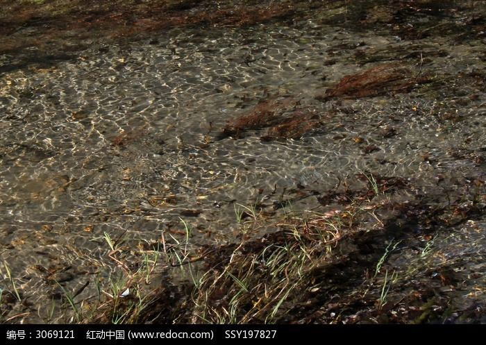 清澈见底的水面高清图片下载_红动中国