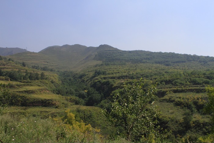 郁郁葱葱的山脉高清图片下载_红动中国