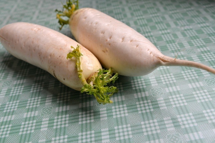 白罗卜高清图片下载_红动中国