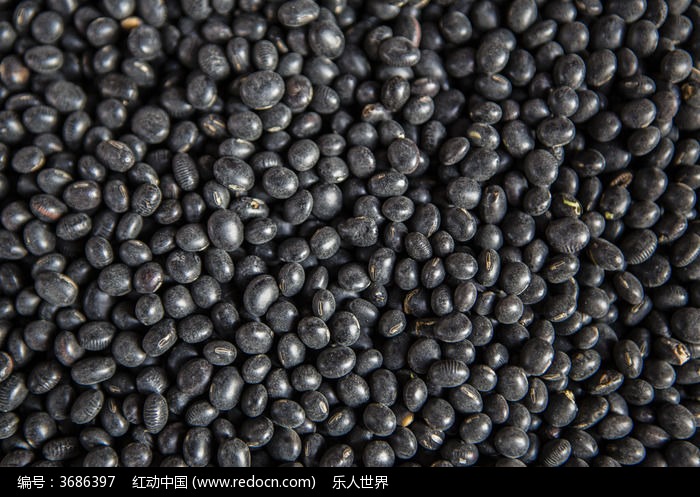 黑豆高清图片下载_红动中国
