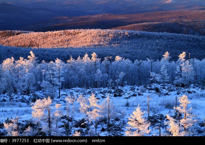 山脉雪林高清图片下载_红动中国