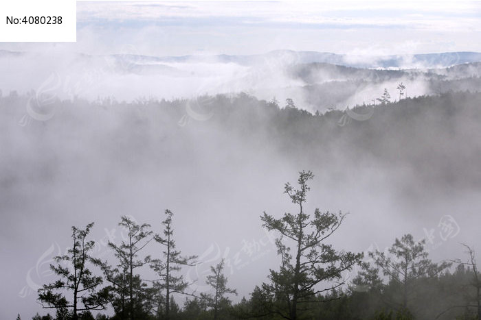 清晨山林云海高清图片下载_红动中国
