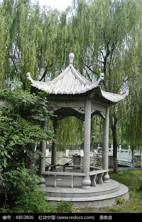 绿柳映石亭高清图片下载_红动中国