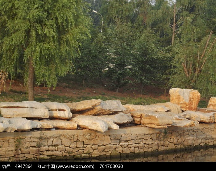 湖泊岸边的树林高清图片下载_红动中国