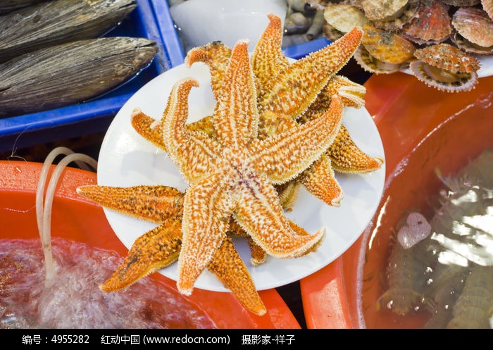 海星高清图片下载_红动中国