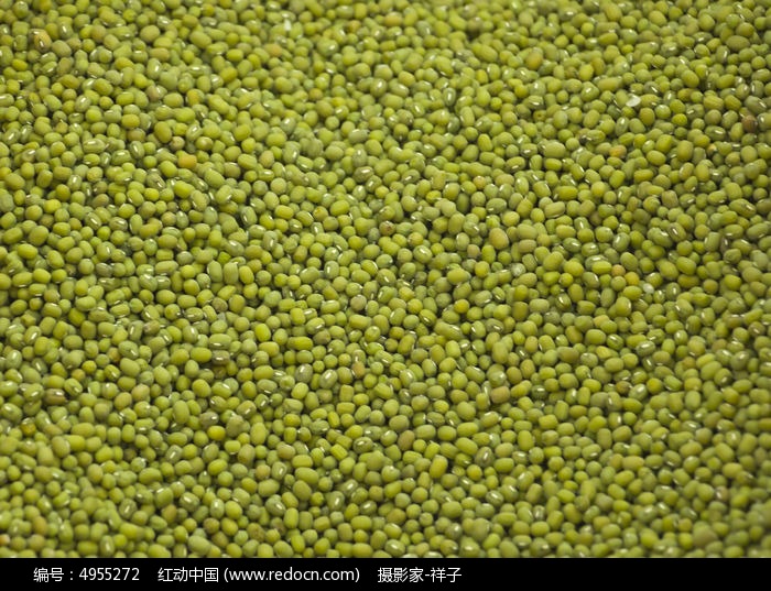 绿豆高清图片下载_红动中国