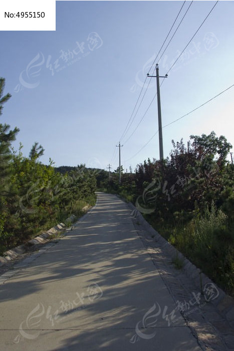 青岛浮山的小路高清图片下载_红动中国