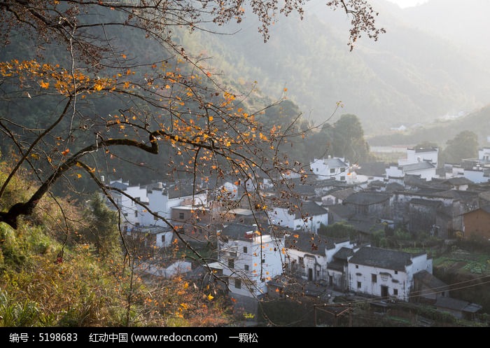 山村与红枫高清图片下载_红动中国