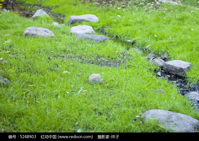 草地高清图片下载_红动中国