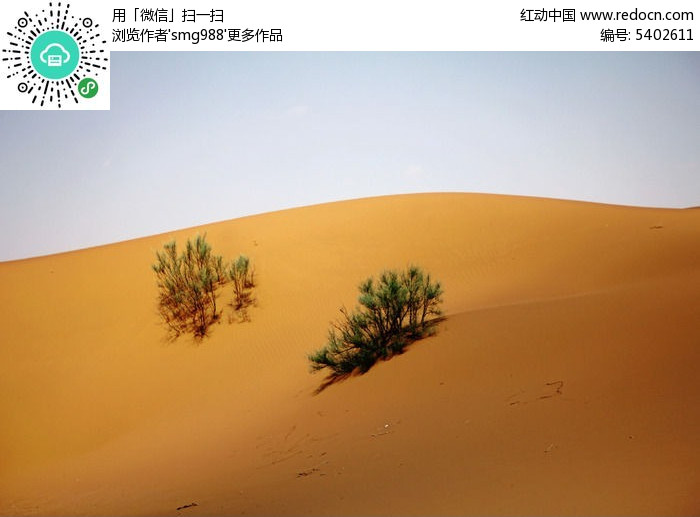 宁夏沙坡头腾格里沙漠风光高清图片下载_红动中国